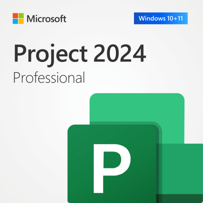 Licencias: Licencia Project Pro 2024 para 1 PC (Reinstalable)