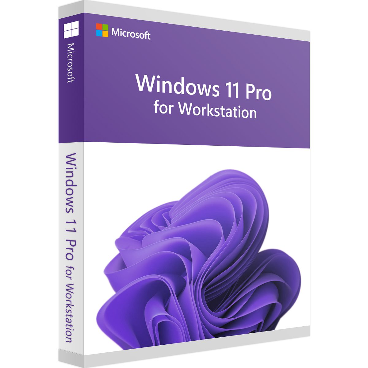 Licencias: Licencia Windows 11 Pro for Workstations